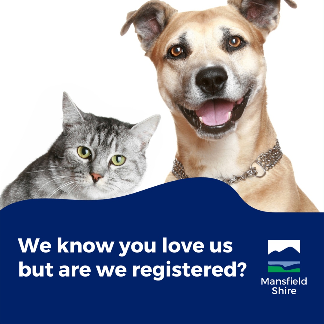 Pet Registrations Are Now Due - Mansfield Shire Council