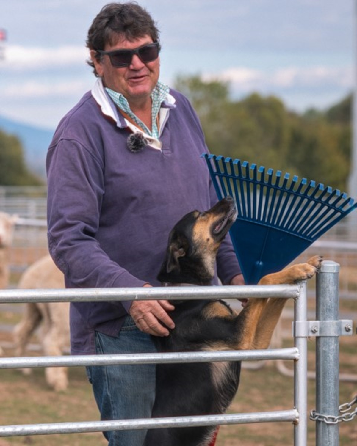 Working Dogs Program a Hit For Rural Communities - Mansfield Shire Council